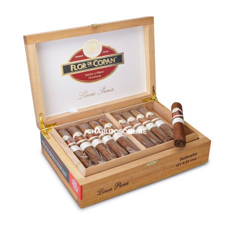 Charuto Flor de Copan Linea Puros Robusto - Caixa com 20