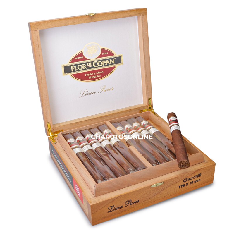 Charuto Flor de Copan Linea Puros Churchill - Caixa com 20
